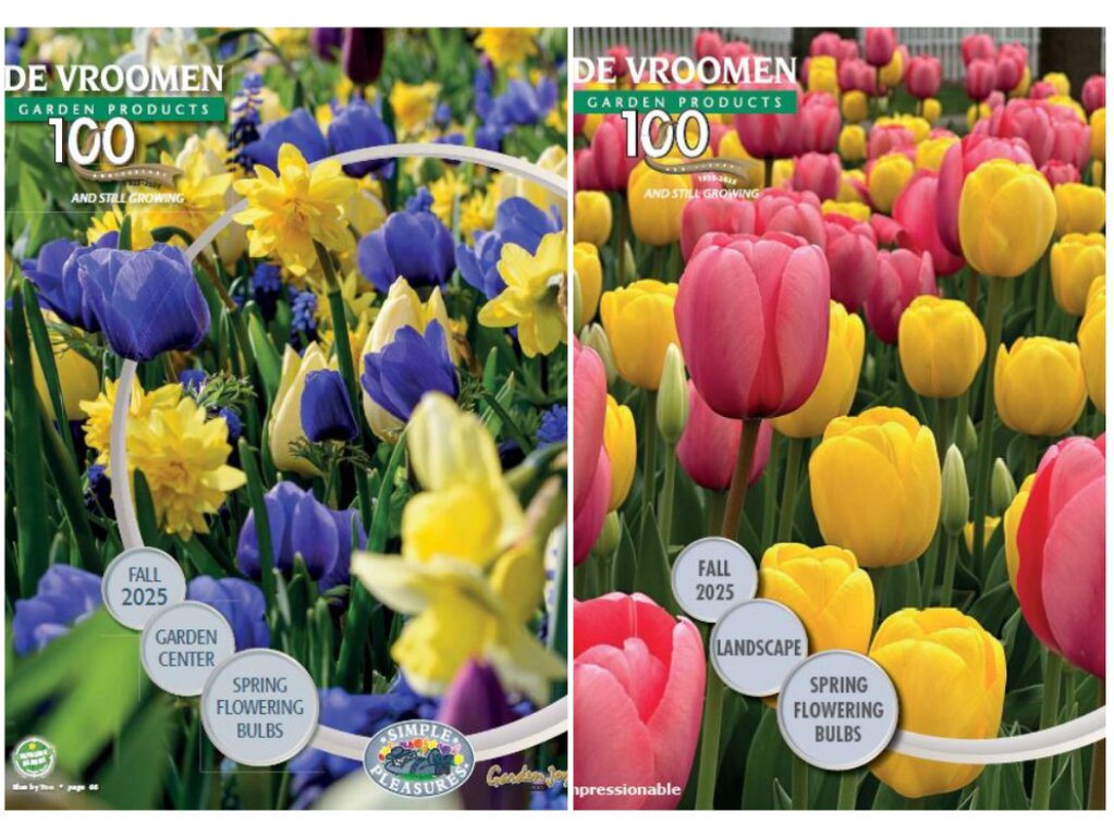 A Sneak Peak at our 2025 Fall Catalogs