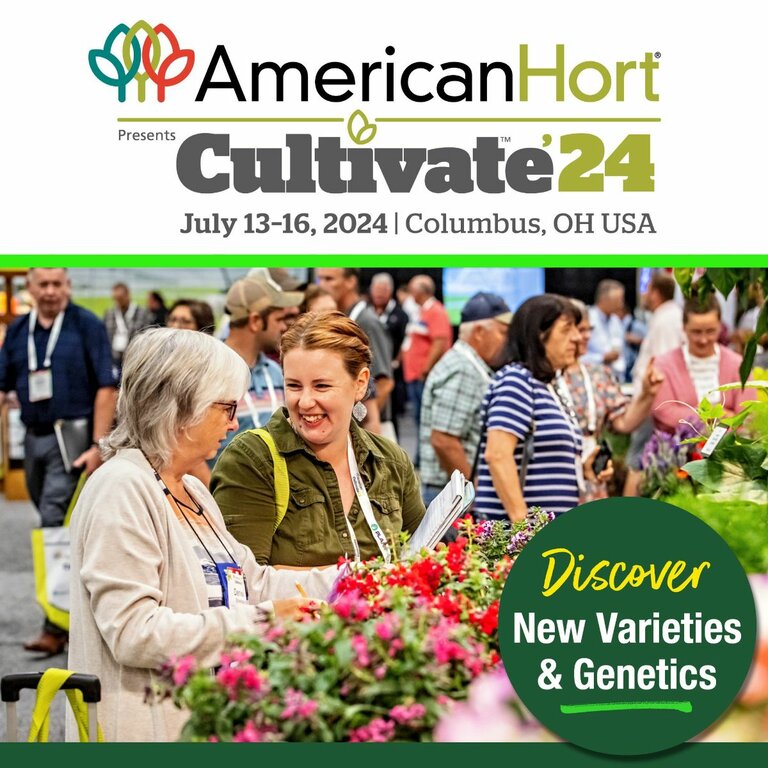 Come Join The Fun! - De Vroomen US