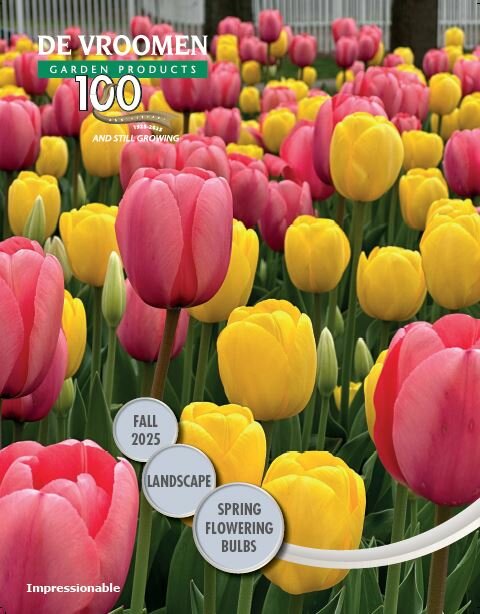 Fall Bulb Catalog - De Vroomen US