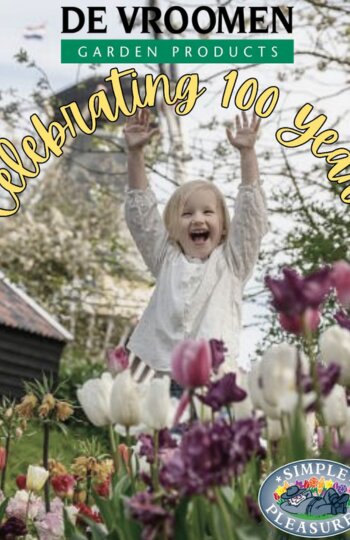 Guess Who's Turning 100? - De Vroomen US