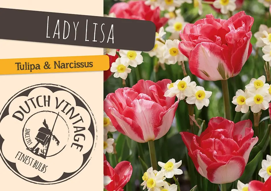 Blend Lady Lisa | Capper 16 x 10 - De Vroomen US