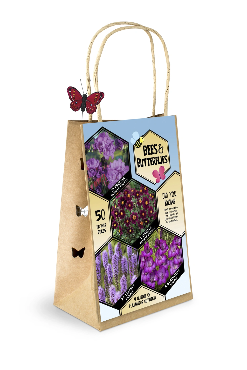 Pre-Packed Collection Bee Purple | 50 x 18 - De Vroomen US