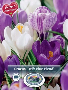 Crocus Blend Delft Blue | Cappers 25 x 16 - De Vroomen US