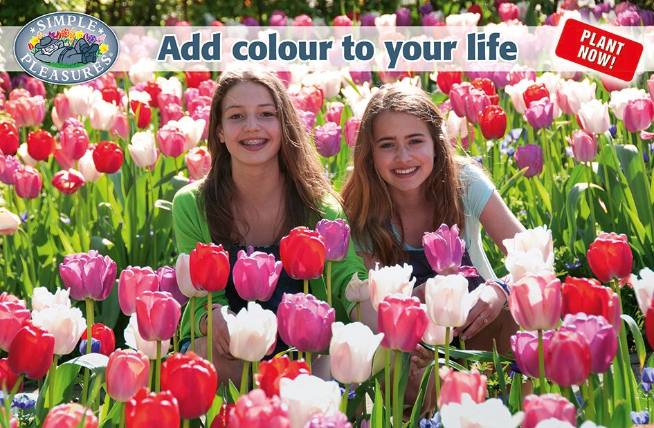 Display Add colour to your life - De Vroomen US