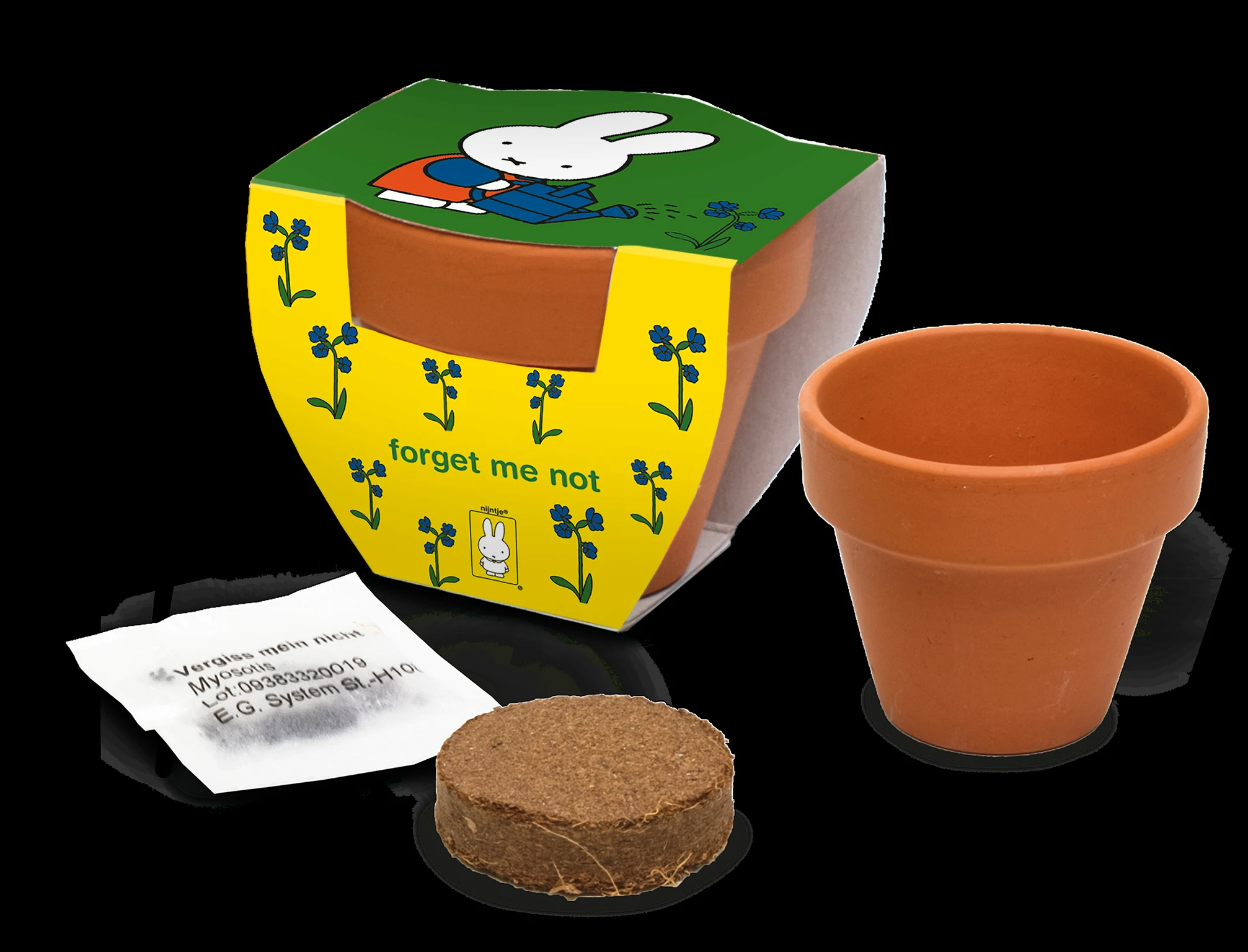 Miffy Terracotta Pot Forget Me Not | 120 pce - De Vroomen US