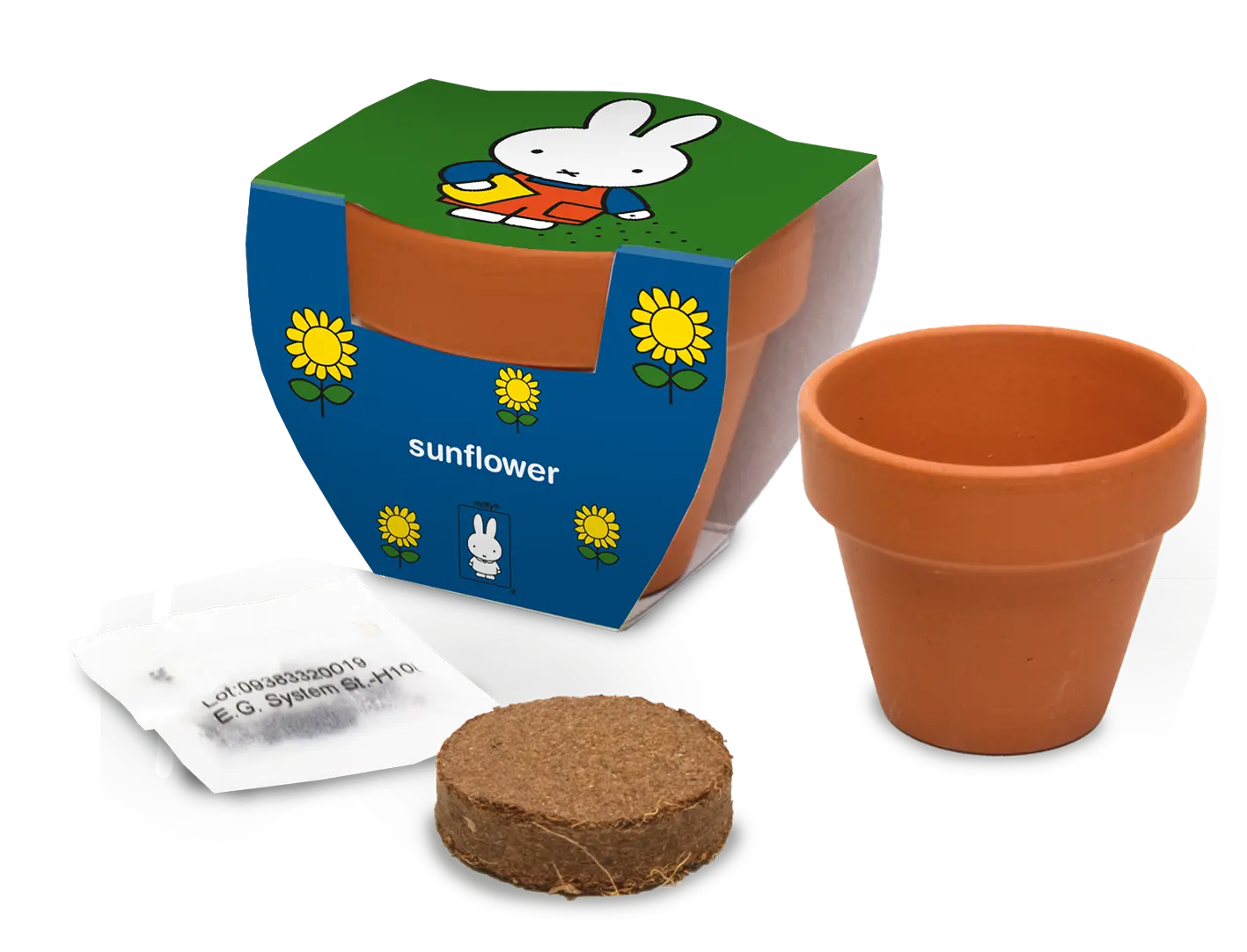 Miffy Terracotta Pot Sunflower | 120 pce - De Vroomen US