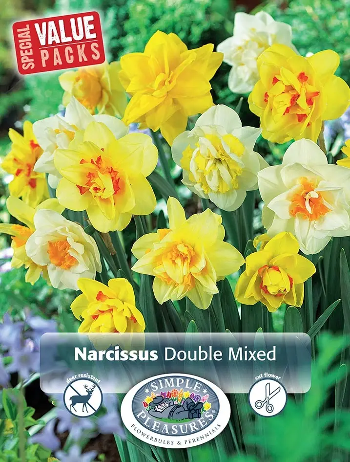 Narcissus Double mixed | Cappers 10 x 15 - De Vroomen US