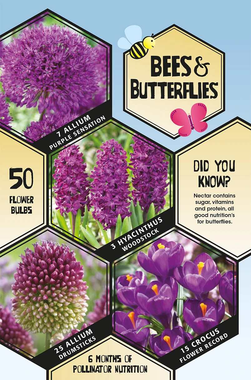 Pre-Packed Collection Purple | Cappers 50 x 18 - De Vroomen US