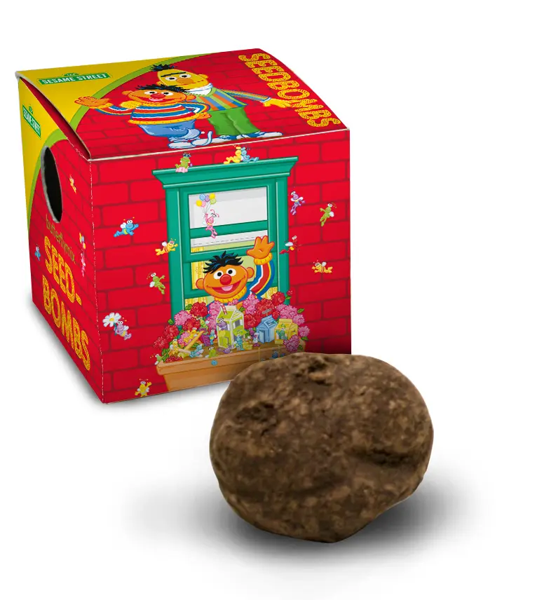 Sesame Street Seeds Bomb Ernie | pcs 70 - De Vroomen US