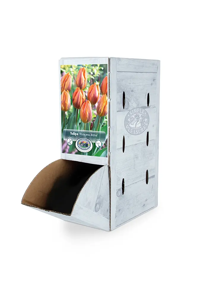 Tulipa Triumph Princess Irene | 80 pcs - De Vroomen US